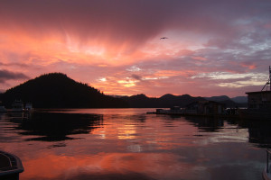 Boating the Great Bear Rainforest, British Columbia, Canada