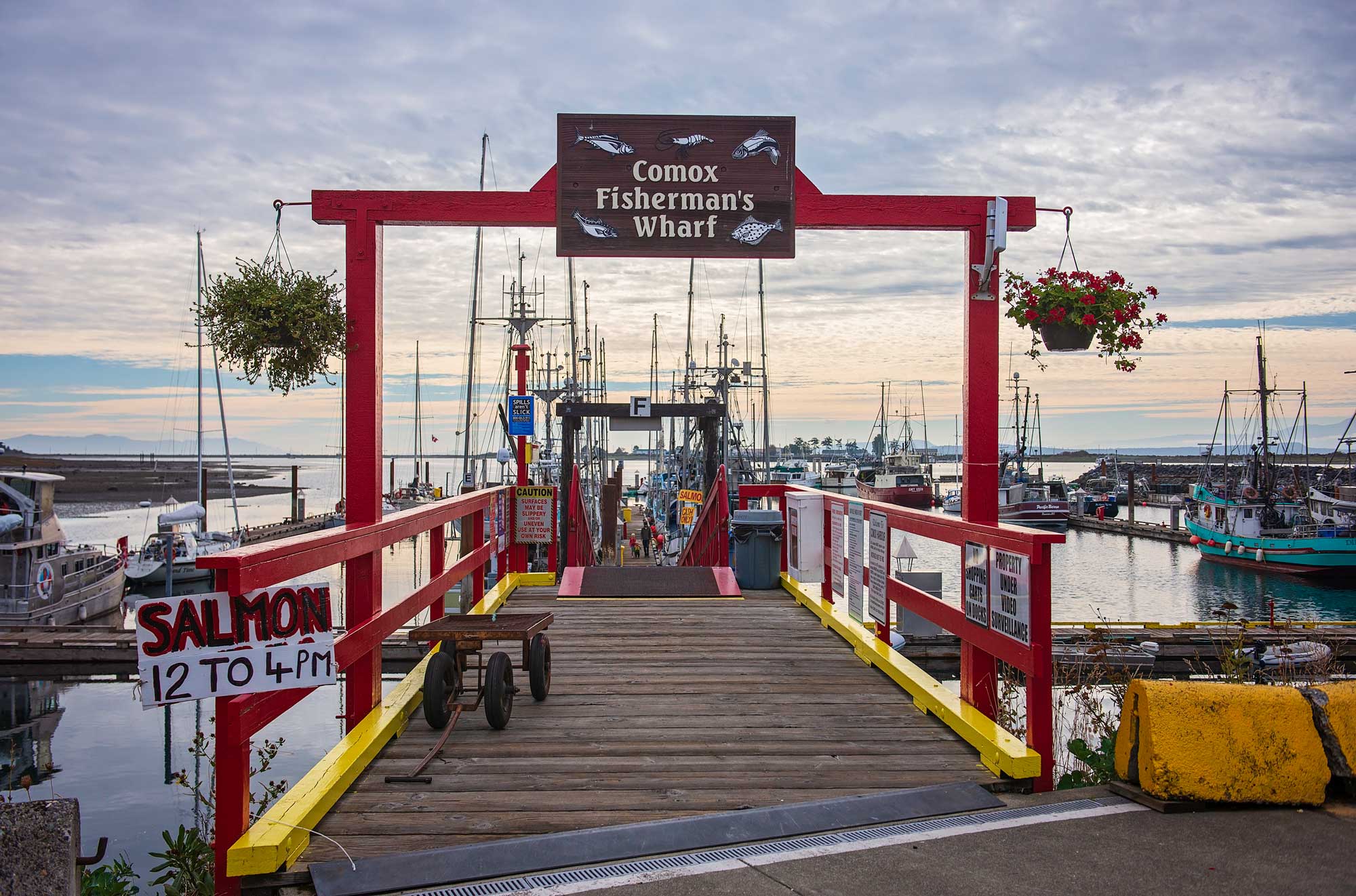 On The Waterfront of Comox Valley » AHOY British Columbia