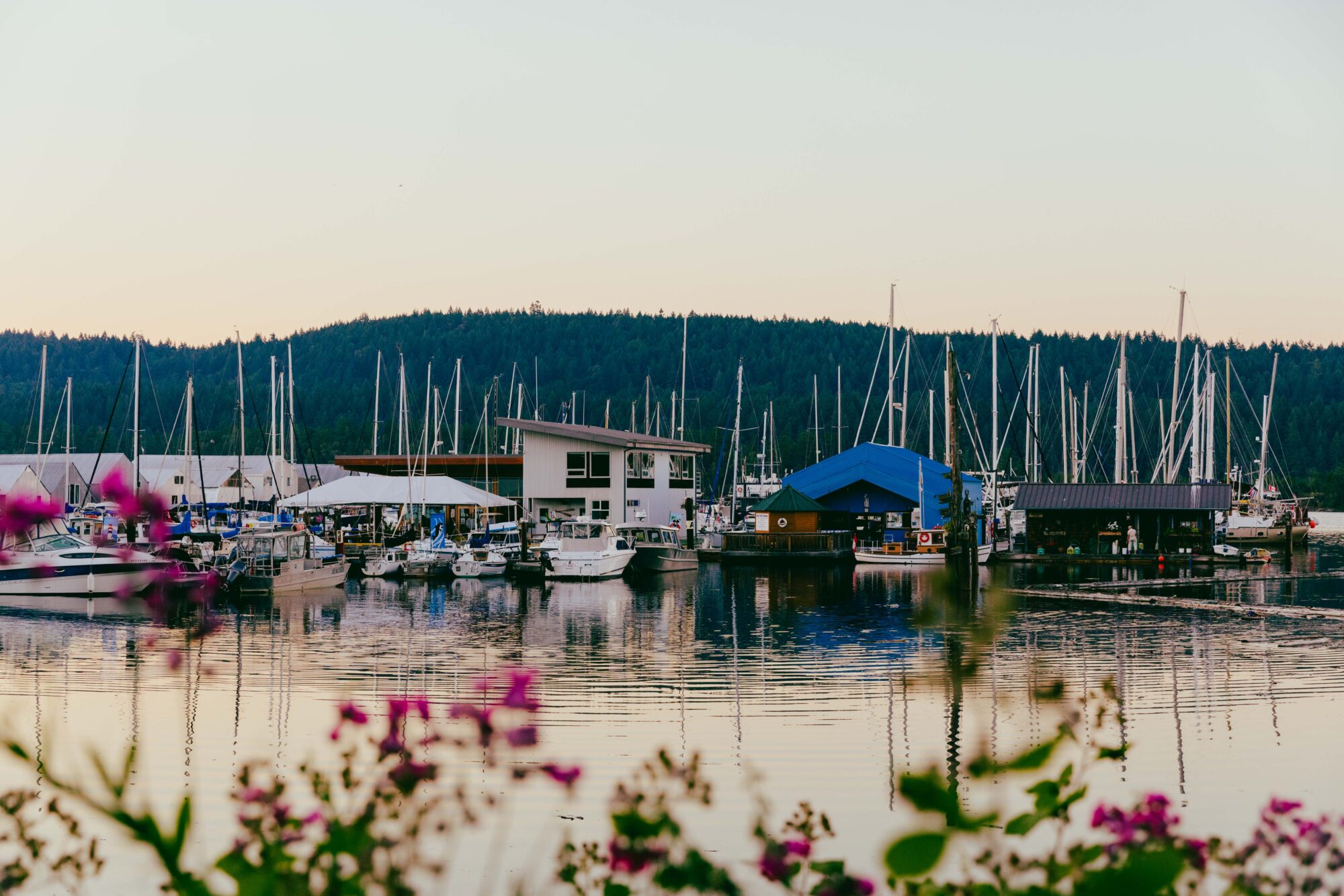 AHOY BC Showcases | Explore Stunning Shores of BC